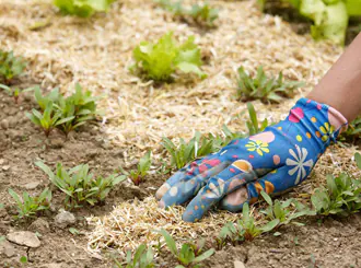 Мульчирование в газонокосилке - что это такое и чем оно полезно для вашего газона